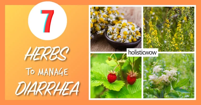 7 Best Herbs to Manage Diarrhea Naturally