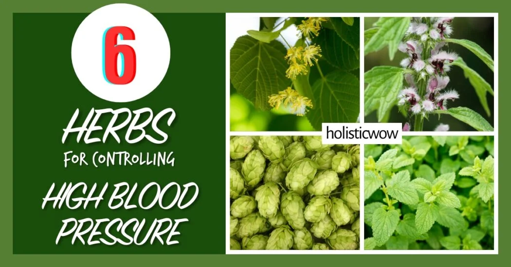 6 Essential Herbs for Controlling High Blood Pressure | HolisticWow