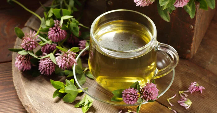 5 Time-Tested Herbs for Managing Hot Flashes