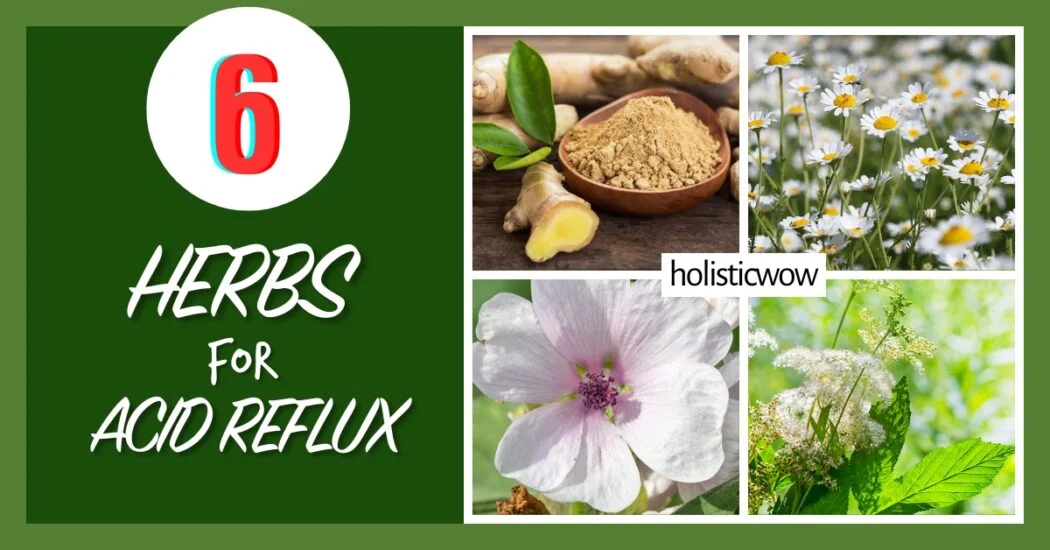 6 Time-Tested Herbs for Acid Reflux Relief