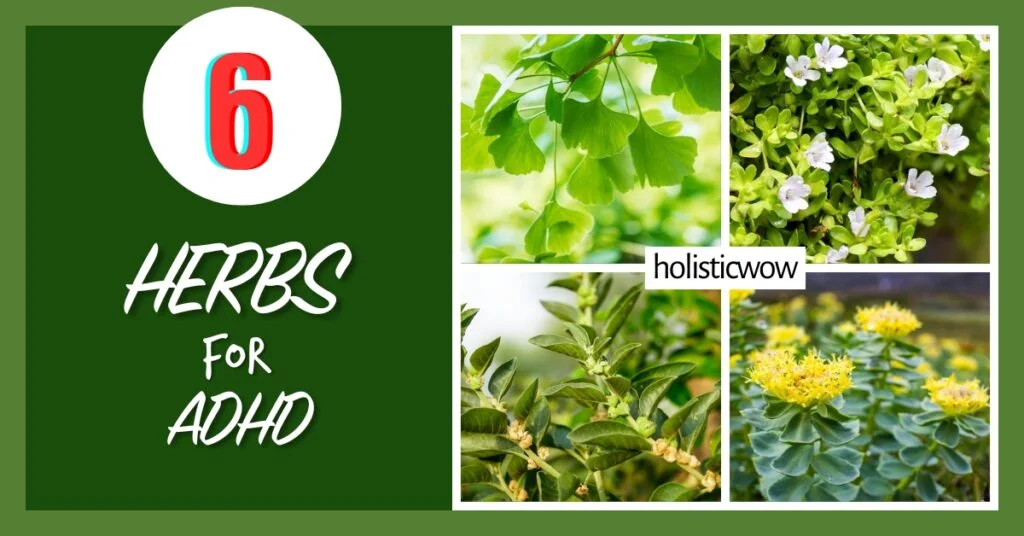6 Powerful Herbs for Managing ADHD Symptoms Naturally