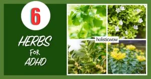 6 Powerful Herbs for Managing ADHD Symptoms Naturally