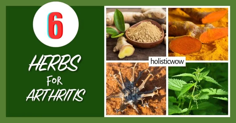 6 Effective Herbs for Arthritis Relief | HolisticWow