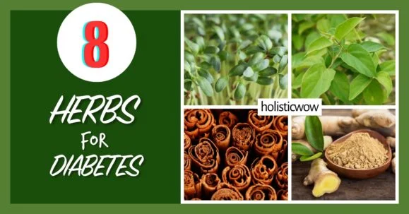 8 Powerful Herbs for Natural Diabetes Management