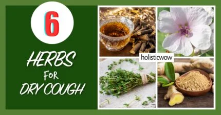 6 Traditional Herbs to Soothe Your Dry Cough Naturally | HolisticWow