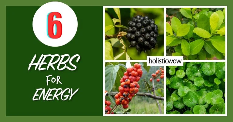 6 Powerful Herbs to Boost Your Energy Naturally | HolisticWow