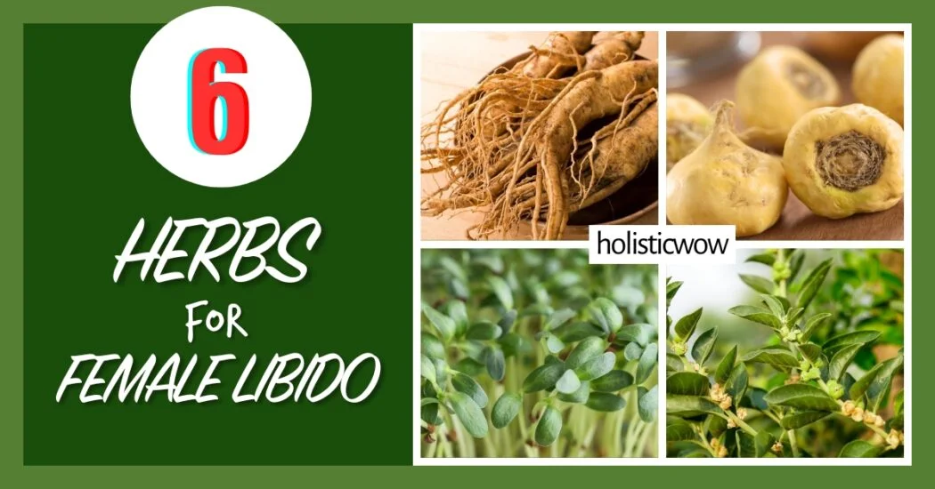 6 Proven Herbs to Boost Female Libido Naturally | HolisticWow Herbs