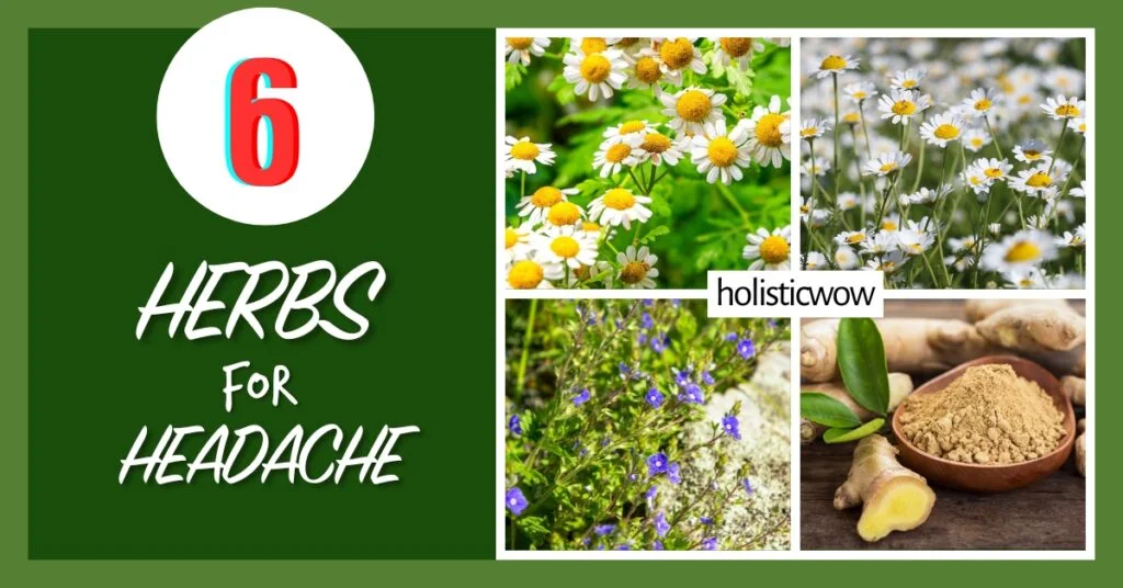 6 Best Herbs to Alleviate Headache Pain Naturally