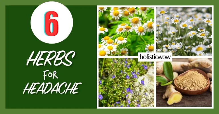 6 Best Herbs to Alleviate Headache Pain Naturally