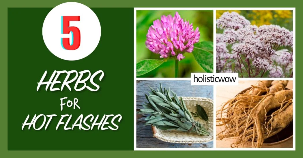 5 Time-Tested Herbs for Managing Hot Flashes