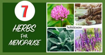 7 Key Herbs for Natural Menopause Relief | HolisticWow