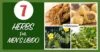 7 Natural Herbs to Boost Men’s Libido Naturally