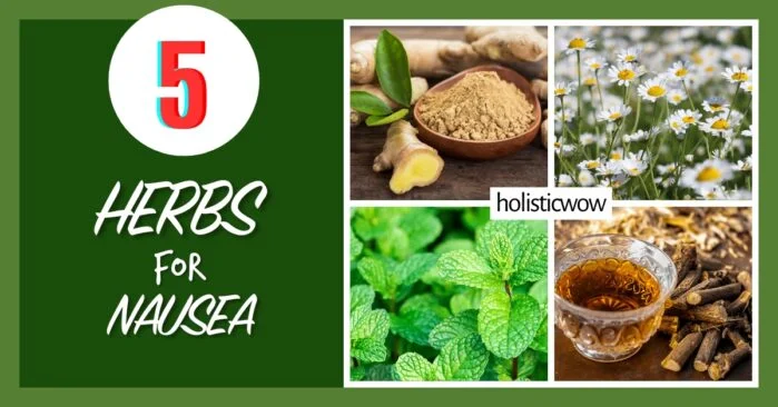 5 Essential Herbs to Combat Nausea Naturally | HolisticWow