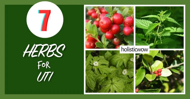 7 Essential Herbs to Combat UTIs Naturally | HolisticWow