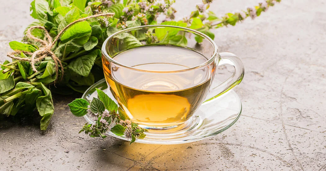 5 Essential Herbs to Combat Nausea Naturally | HolisticWow