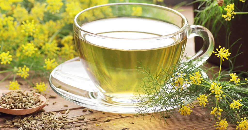 6 Powerful Herbs for Bloating Relief | HolisticWow