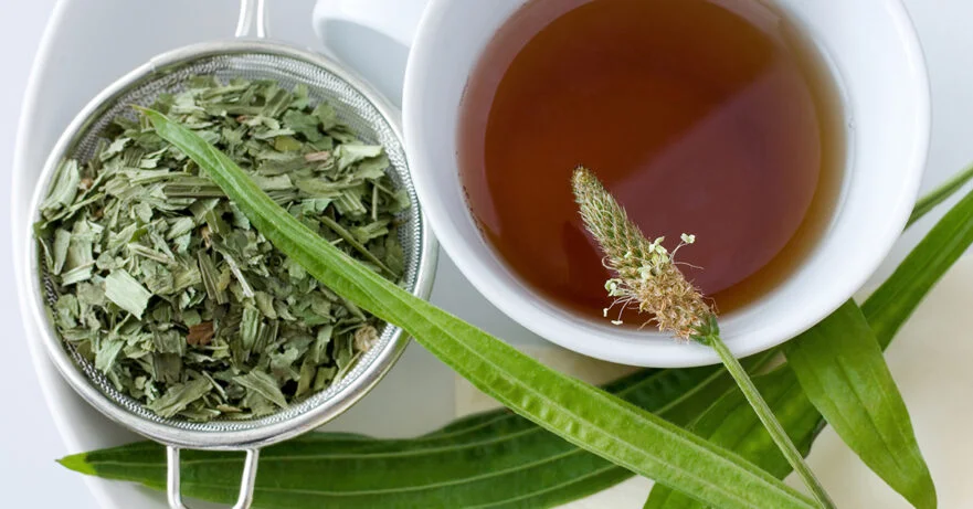 6 Traditional Herbs to Soothe Your Dry Cough Naturally | HolisticWow