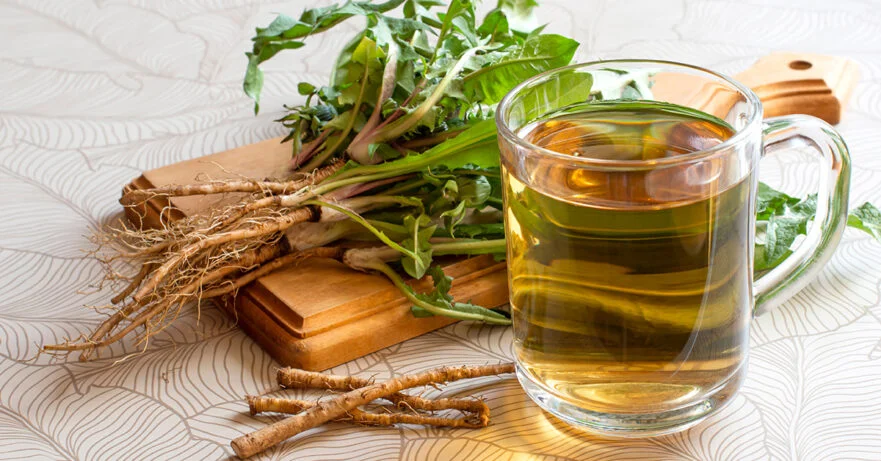 6 Essential Herbs to Support Bladder Health Naturally | HolisticWow