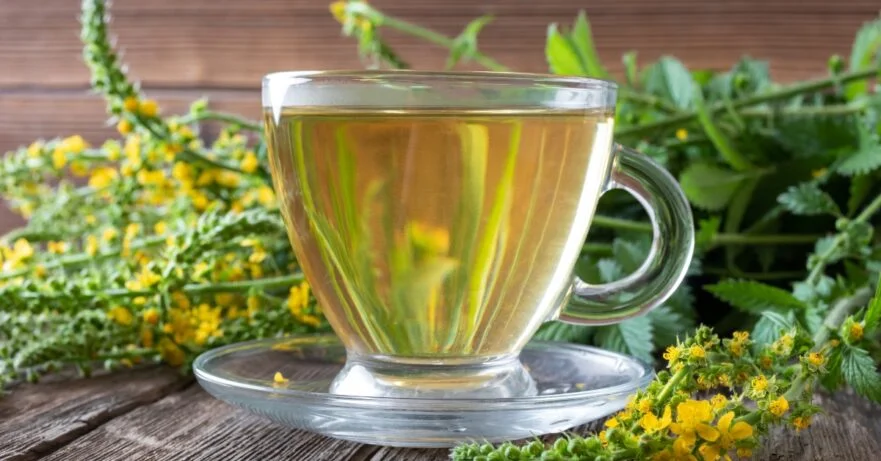 6 Powerful Herbs to Soothe Your Upset Stomach Naturally | HolisticWow