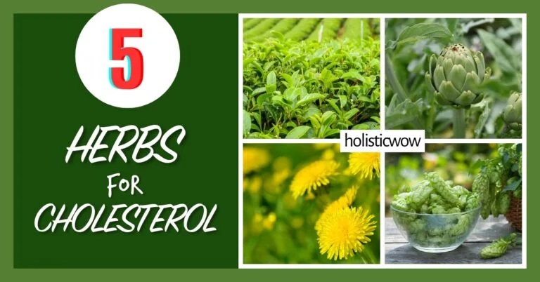 5 Powerful Herbs That Naturally Lower Cholesterol | HolisticWow