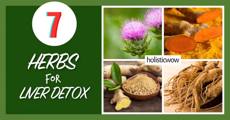 7 Essential Herbs for Natural Liver Detoxification | HolisticWow