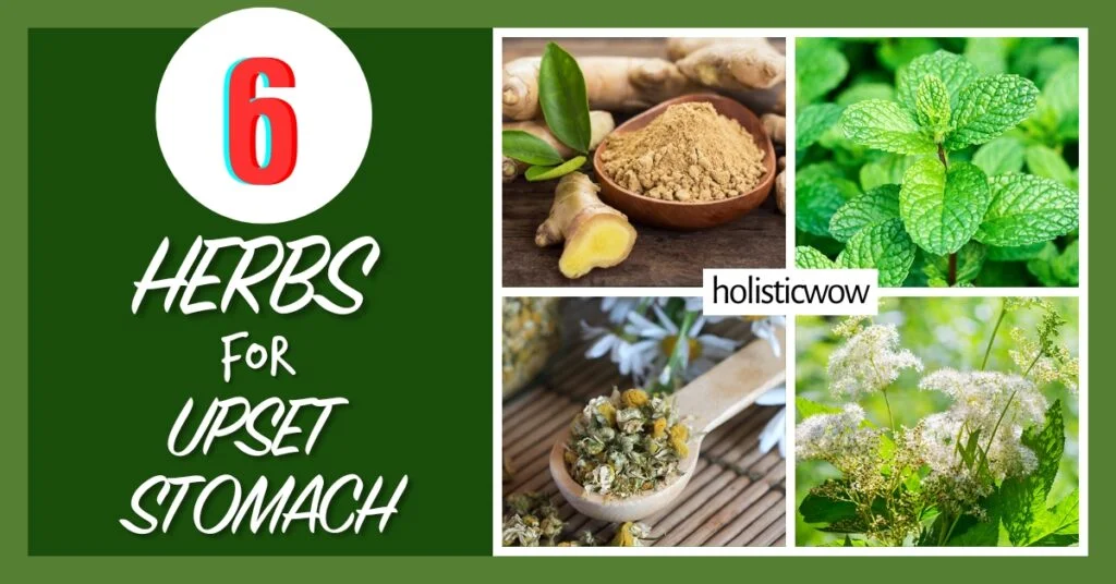 6 Powerful Herbs to Soothe Your Upset Stomach Naturally | HolisticWow
