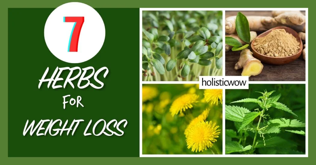 7 Time-Tested Herbs to Kickstart Your Weight Loss Goals | HolisticWow