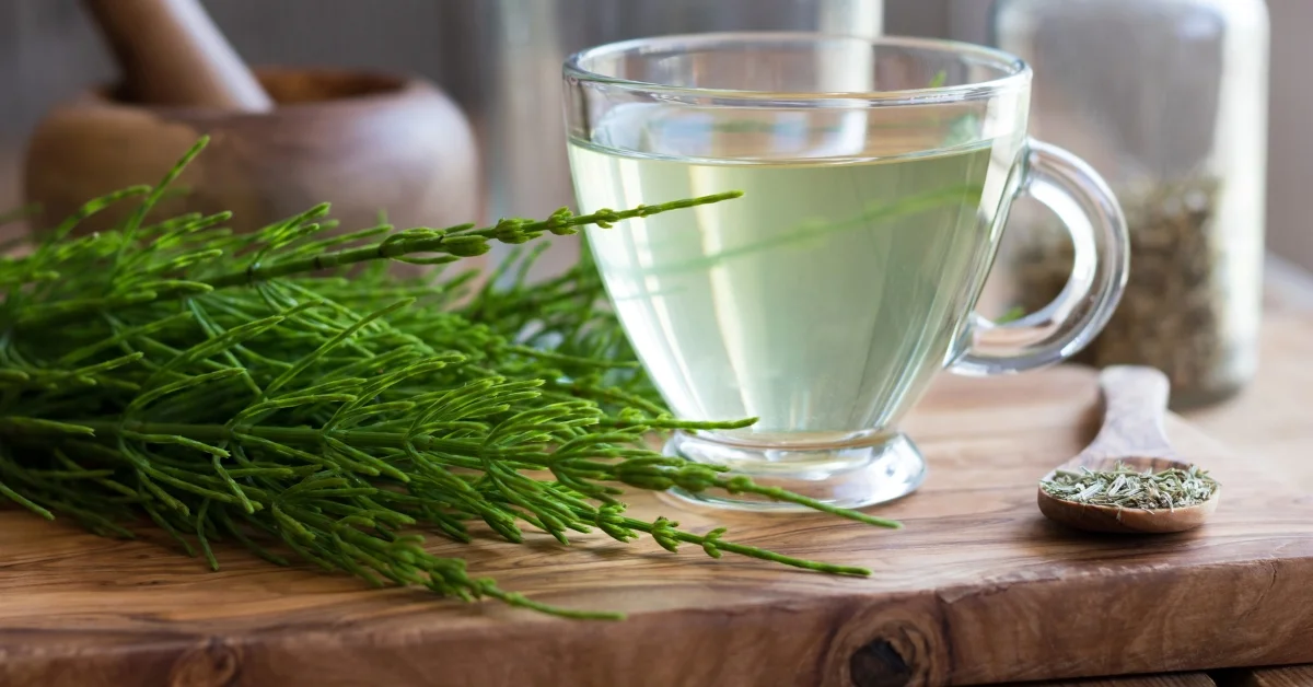 5 Natural Herbs to Support Kidney Stone Relief