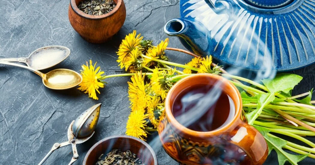 7 Time-Tested Herbs to Kickstart Your Weight Loss Goals | HolisticWow