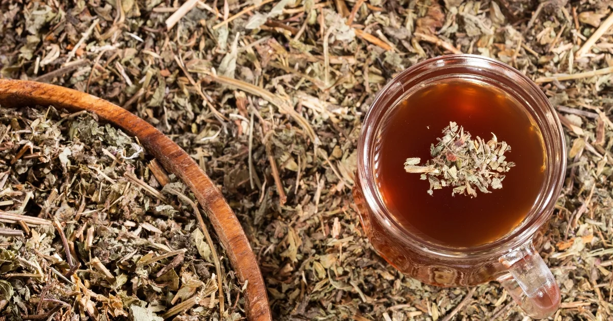 5 Natural Herbs to Support Kidney Stone Relief