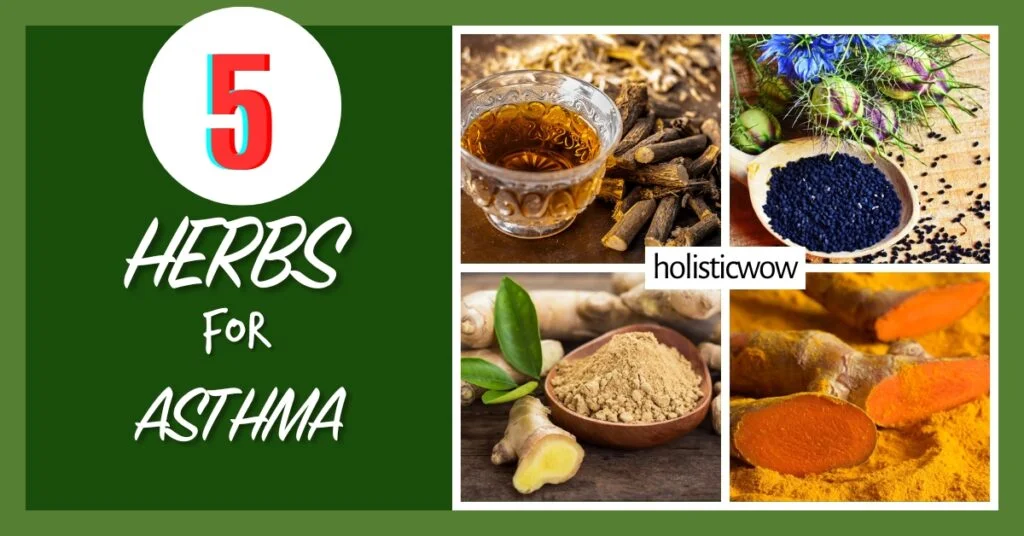 5 Essential Herbs To Ease Asthma Symptoms Naturally Holisticwow
