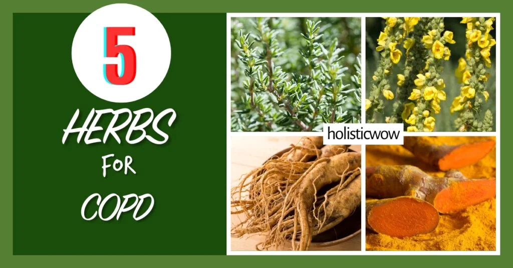 5 Powerful Herbs to Support Natural COPD Management | HolisticWow