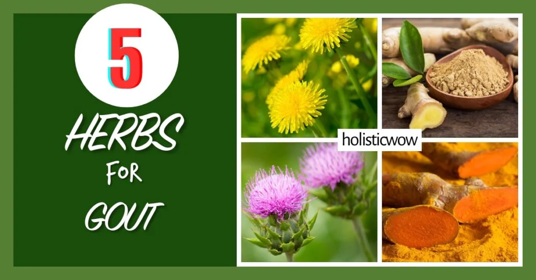 5 Traditional Herbs That May Help Relieve Gout Pain | HolisticWow