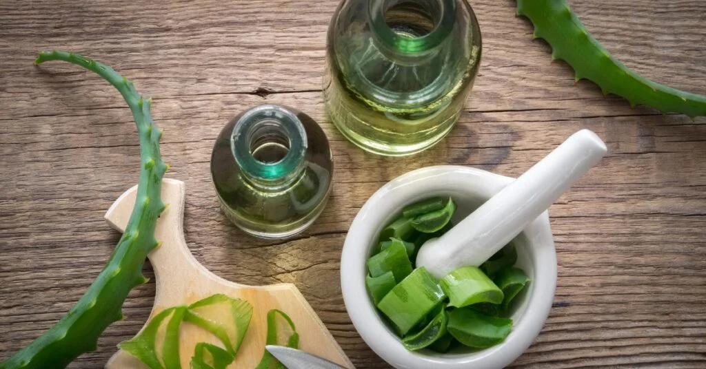 5 Soothing Herbs That Combat Stomach Ulcers