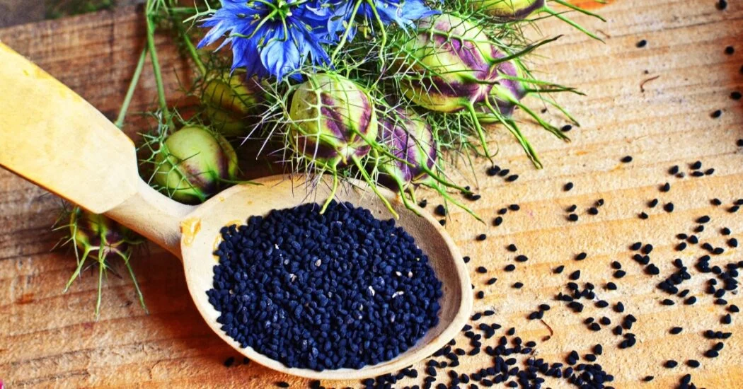 Black Seed Monograph 🌿 | HolisticWow
