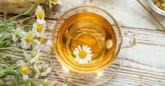 5 Potent Herbs to Naturally Enhance Relaxation | HolisticWow