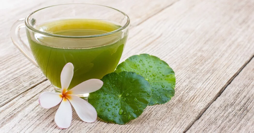 5 Key Herbs to Boost Blood Circulation Naturally