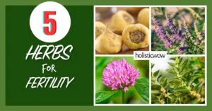 5 Traditional Herbs to Boost Your Fertility Naturally | HolisticWow