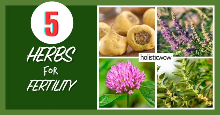 5 Traditional Herbs To Boost Your Fertility Naturally Holisticwow