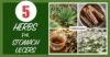 5 Soothing Herbs That Combat Stomach Ulcers