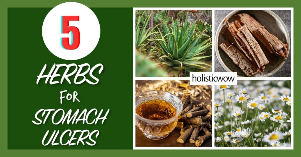 5 Soothing Herbs That Combat Stomach Ulcers