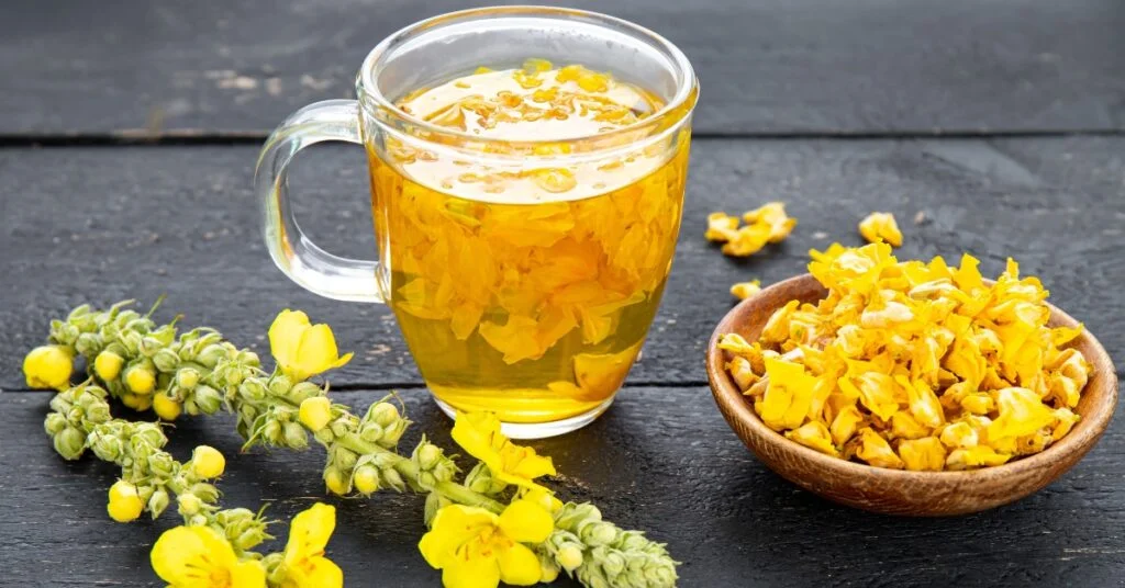 Mullein Monograph 🌿 | HolisticWow