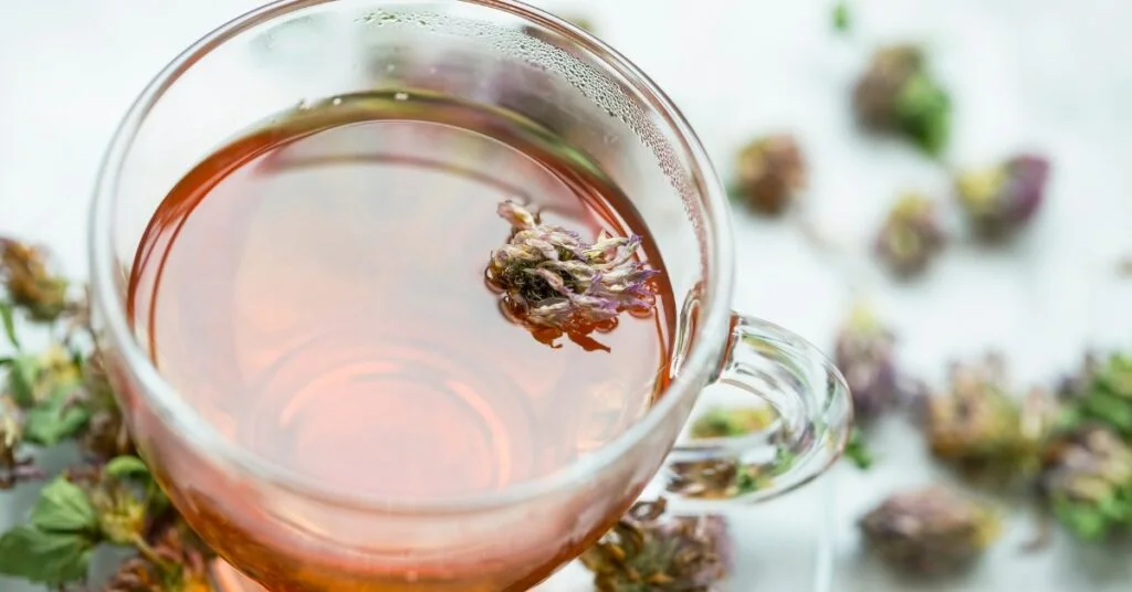 5 Traditional Herbs to Boost Your Fertility Naturally | HolisticWow
