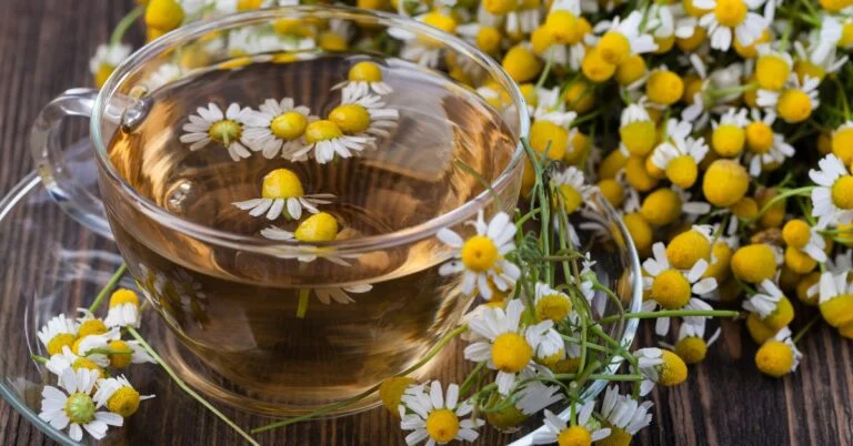 5 Soothing Herbs That Combat Stomach Ulcers