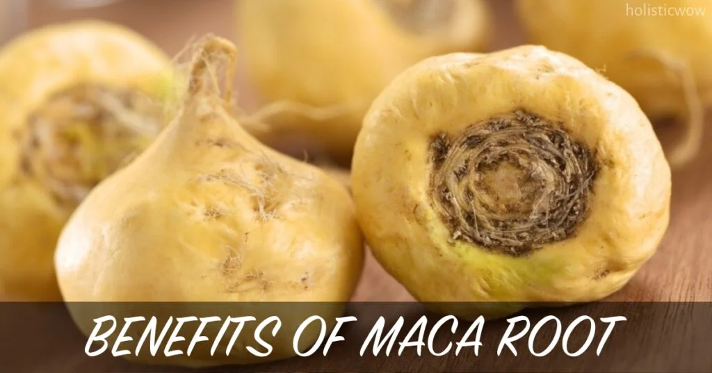 Maca Root Benefits, Uses, and Side Effects | HolisticWow