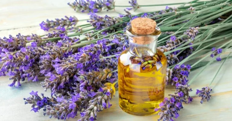 Lavender for Mosquito Repellent: Facts vs Myths