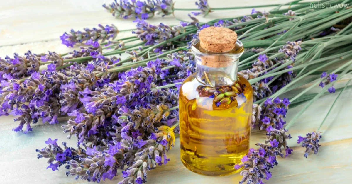 Lavender for Mosquito Repellent: Facts vs Myths