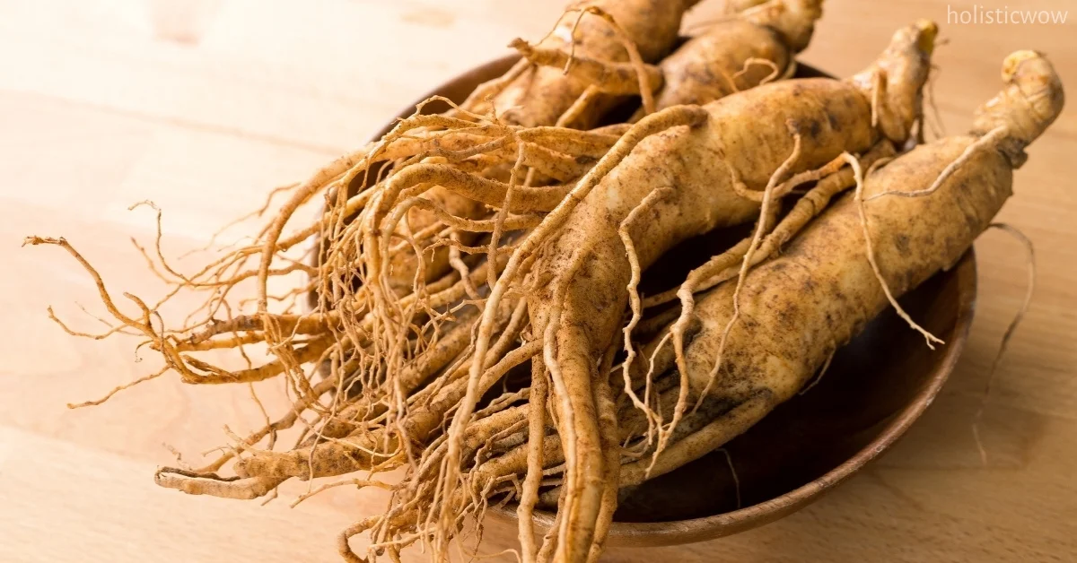 The 3 Major Types of Ginseng: Korean, American, Siberian
