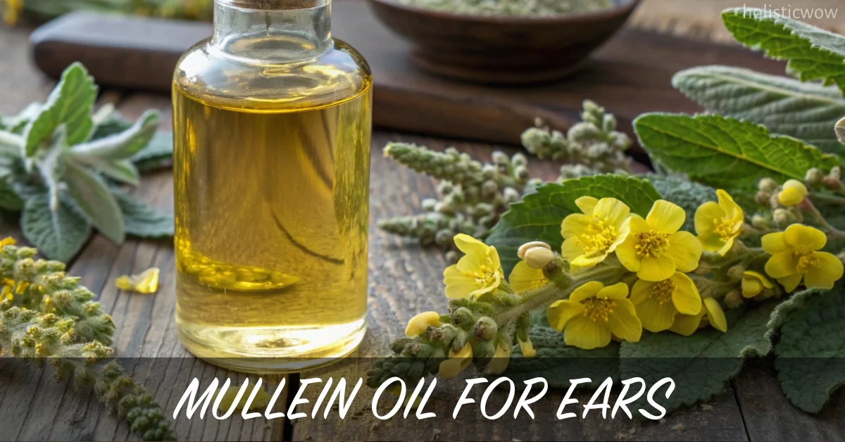 Mullein Oil for Ears: Soothing Natural Remedy for Ear Pain