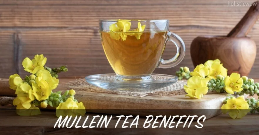 Mullein Tea Benefits, Uses & Potential Side Effects